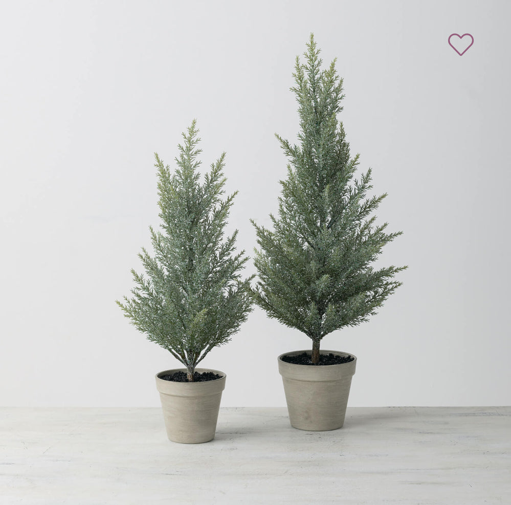 Pine Cedar Tabletop Tree 2 sizes – Lakeshore Trends